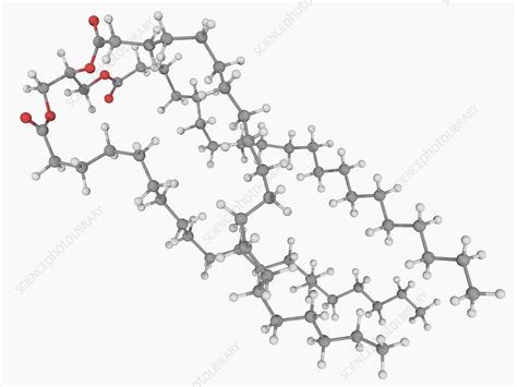 Triglyceride Molecule Stock Image F004 6703 Science Photo Library