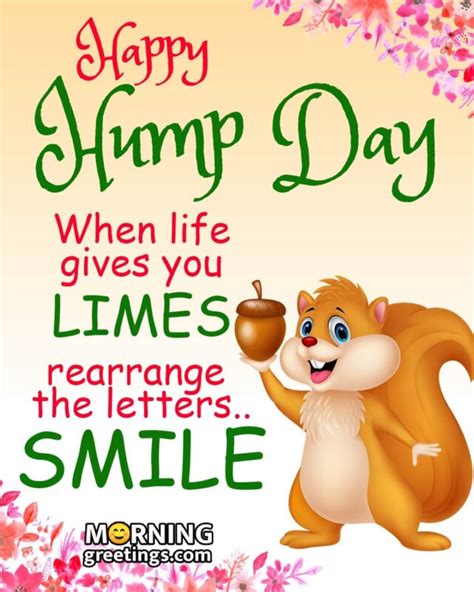 Happy Hump Wednesday Quotes