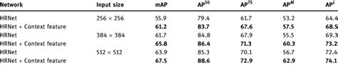 the effect of input size on the coco validation set download scientific diagram