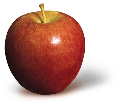 Apples Varieties For All Occasions Louisiana Kitchen And Culture