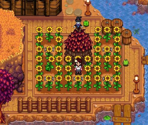 Yay For My First Junimo Hut ´ ` 🍂 R Stardewvalley