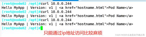 [云原生] 二进制安装k8s（中）部署网络插件和dns 安装pod网络插件 cni csdn博客
