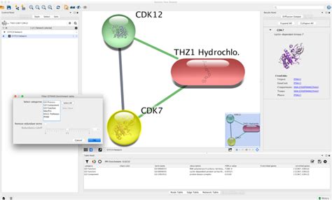 Highlighting Various Stringapp Features In A Screenshot Of A Small