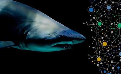 Data Loss Prevention Company Hacked By Tick Cyberespionage Group Vumetric Cyber Portal