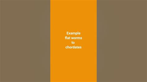 Triploblastic Organisation Youtube