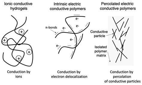 Electroactive Smart Polymers For Biomedical Applications