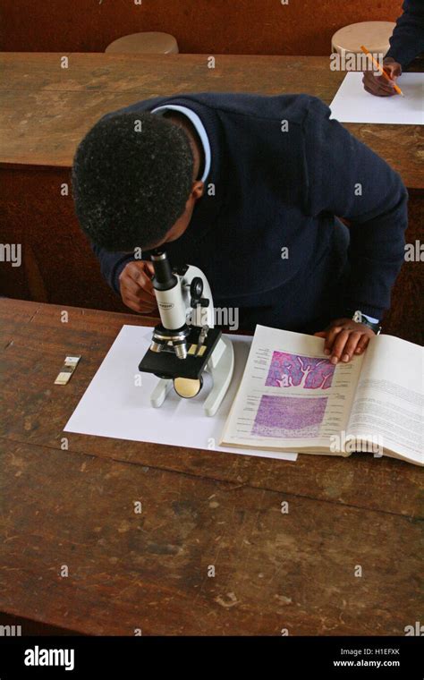 School Girl Using Microscope In School Lab St Marks School Mbabane