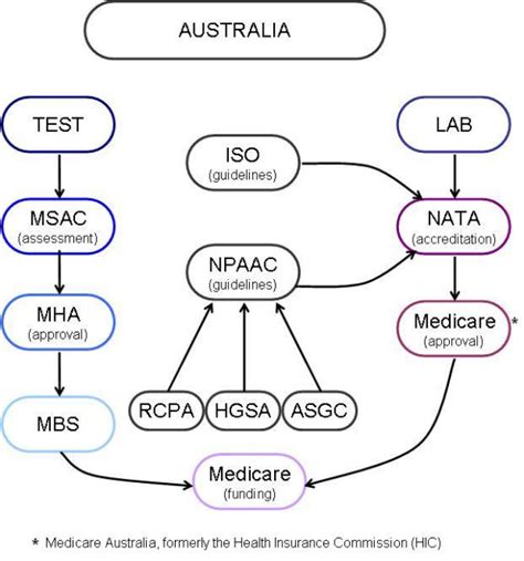 Regulation And Accreditation Pathways For Genetic Testing In Australia Download Scientific Diagram