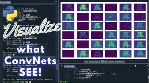 python visualize what convnets see 🐶 convolutional tensorflow