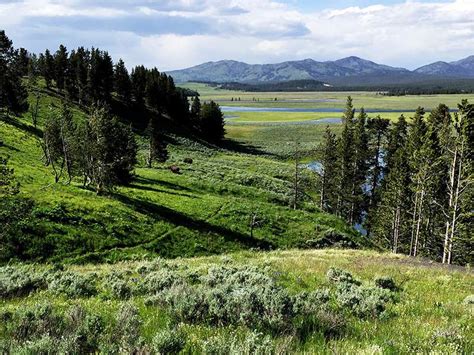 Yellowstone Hot Springs Death Underscores Dangers At Park
