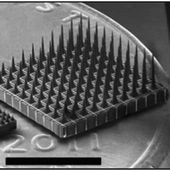 The High Density Utah Slanted Electrode Array HD USEA A A Scanning Download Scientific