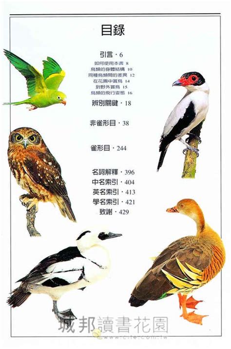 世界鳥類圖鑑全新美耐版 城邦讀書花園網路書店