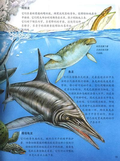 螳螂化石图片 巨型螳螂老虎图片 螳螂王 第4页 大山谷图库