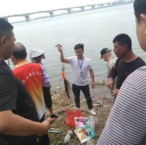 长江大保护！整治进行中埠河镇执法巡查