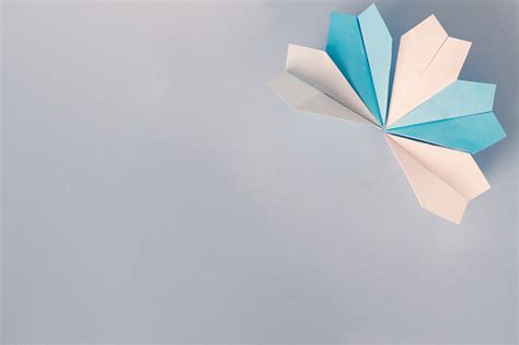 종이 비행기의 그룹 회색 배경 위에 꽃의 형태로 배치 학교와 교육 개념 돌아가기 비행기 여행 및 관광의 상징으로 전보에 대한 스톡 사진 및 기타 이미지 Istock