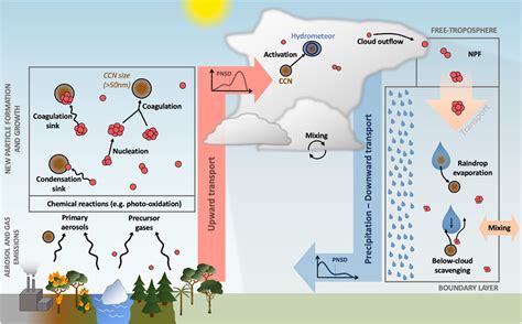 Conceptual Model Of The Aerosol Life Cycle In The Presence Of Download Scientific Diagram