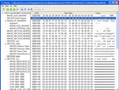 Malware Reverse Engineering Part I