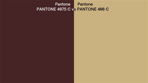 Pantone 4975 C Vs Pantone 466 C Side By Side Comparison