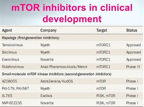 Mtor Inhibitor In Cancer