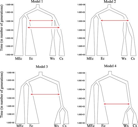 Schematic Diagram Showing The Four Historical Demographic Models Download Scientific Diagram