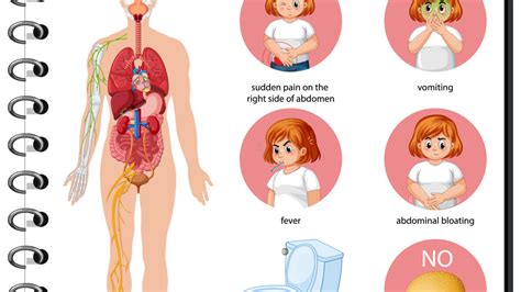 Abnormal Appendix Appendicitis Sonosif By Sifsof California
