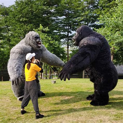 Scary Real Gorilla