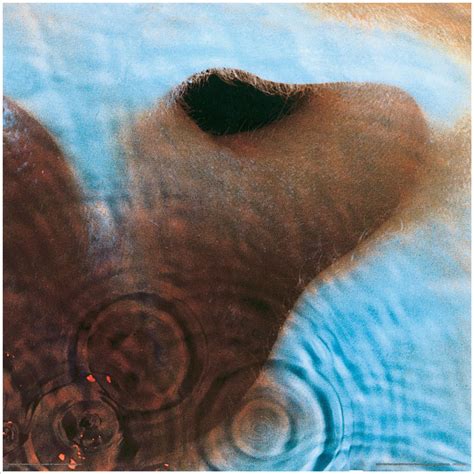Pink Floyd Meddle Album Cover Framed Print The Art Group