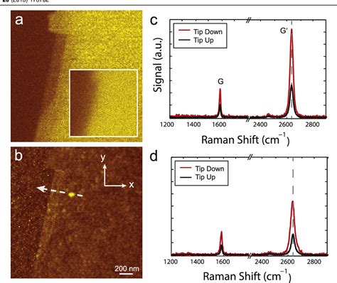 Figure 1 From Tip Enhanced Raman Mapping Of Local Strain In Graphene Semantic Scholar