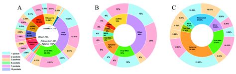 The Proportion Of Various Types Of Rna And The Pocket Distribution Of