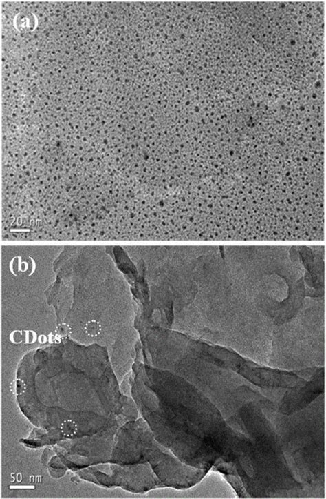 Carbon Dot And Graphite Phase Carbon Nitride Compound Photocatalyst As Well As Preparation