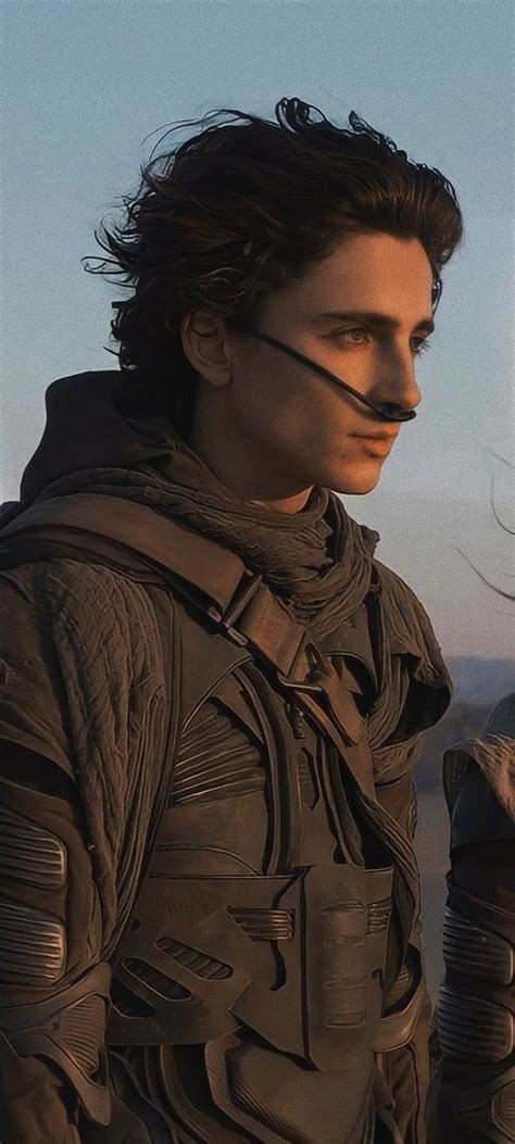 Дюна Тимоти Шаламе Attori Ragazzi Carini Ritratti