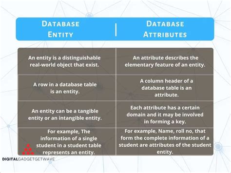 Understanding Entities In Databases Definition And Illustrative