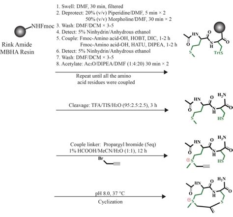Constructing Cyclic Peptides Using An On Tether Sulfonium Center Scientific Article Protocol