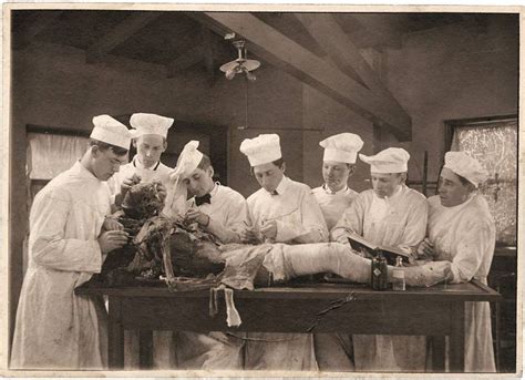 Dissection The Globe And Mail