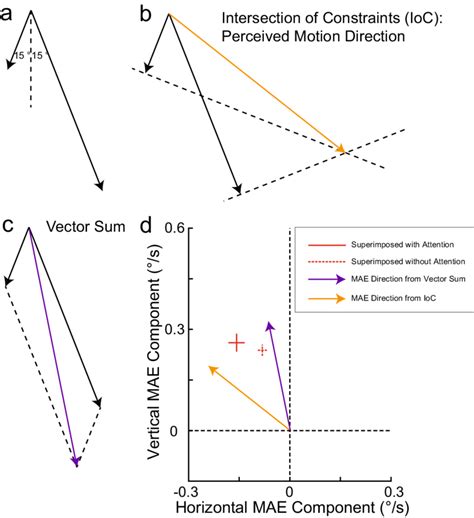 Schematic Demonstration Of The Direction Of Vector Sum And Intersection Download Scientific