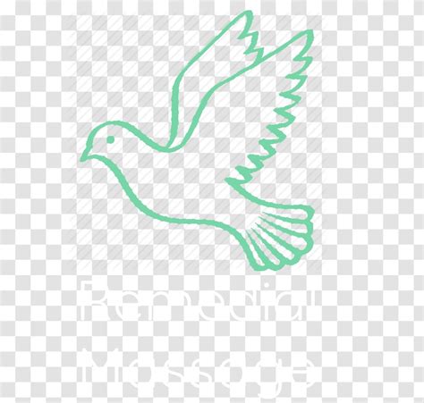 Columbidae Olive Branch Doves As Symbols Peace Beak Stress Is