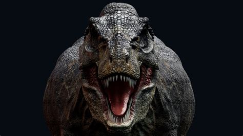 Artstation Tyrannosaurus Rex Sue Unreal Engine Unity Projects Game Assets