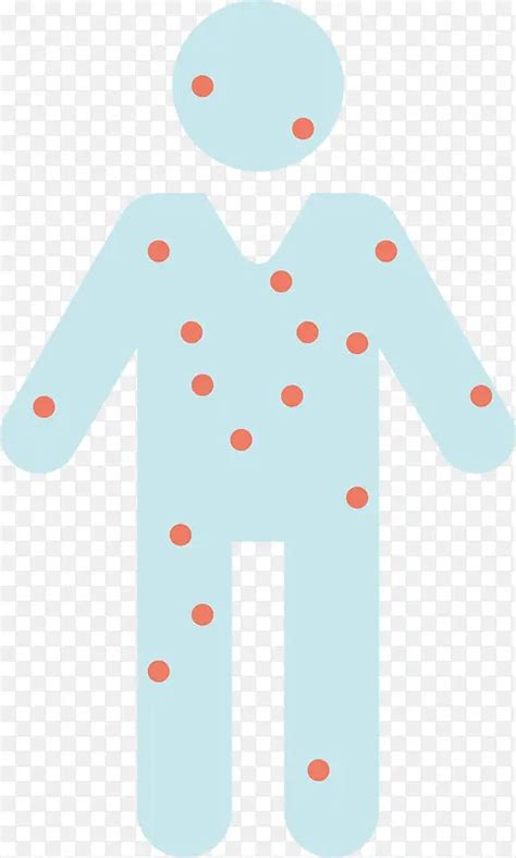 人体结构图png图片素材下载 图片编号8245217 Png素材网