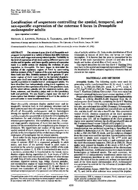 Pdf Localization Of Sequences Controlling The Spatial Temporal And