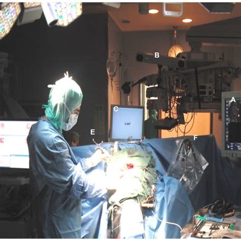Closed Loop Braincomputer Interface Set Up The Implanted Epidural
