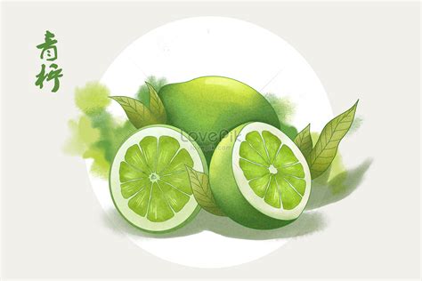 과일 라임 그림 일러스트 무료 다운로드 Lovepik