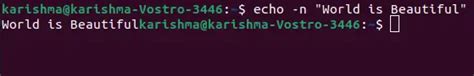 Commande Echo Sous Linuxunix Avec Exemples Tutoriel Linux