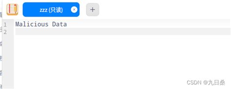计算机网络安全lab 1 Set Uid Program Vulnerability Csdn博客