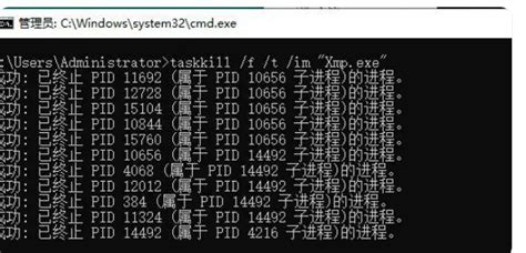 windows 7或10 删除进程方法，解决端口占用问题 使用 taskkill 命令根据进程 pid 号或者进程名（xxx exe