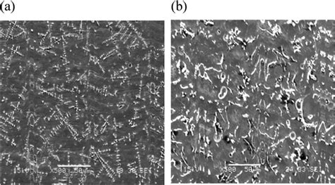 Sem Micrographs Of Tig Composite Coating Layers On Cp Ti A 94fe4c2si Download Scientific
