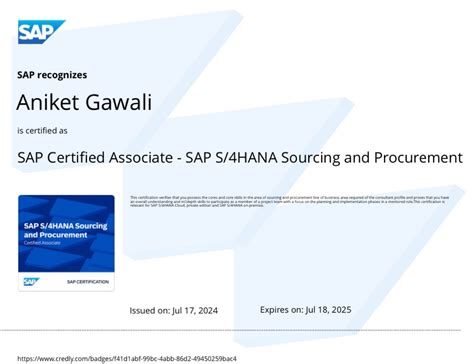 Aniket Gawali On Linkedin Excited To Share That I Have Successfully Achieved My Sap Global