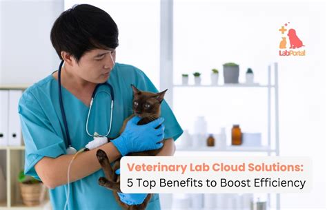 Veterinary Lab Cloud Solutions Top 5 Benefits To Boost Efficiency
