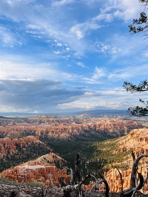 미서부 캐년들 사진 Mlbpark