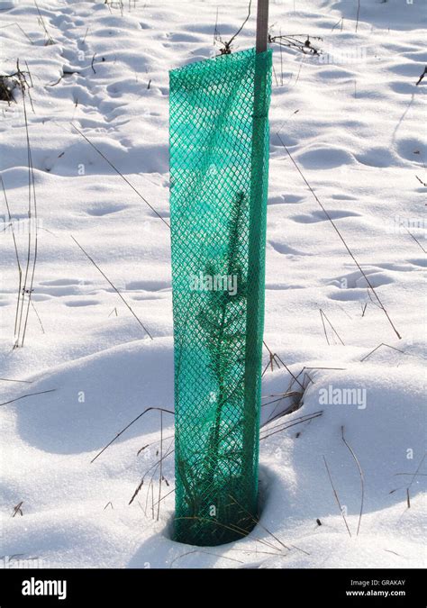 Protection Of Forests Hi Res Stock Photography And Images Alamy