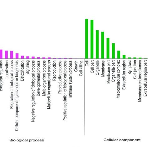 The Gene Ontology Go Functional Annotation Of Deps Download Scientific Diagram